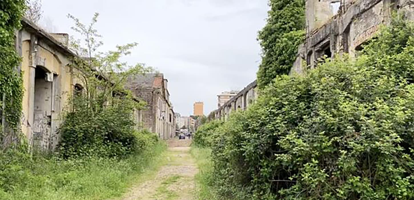 Ampliato il perimetro del monumento naturale del lago ex Snia – OAR ...