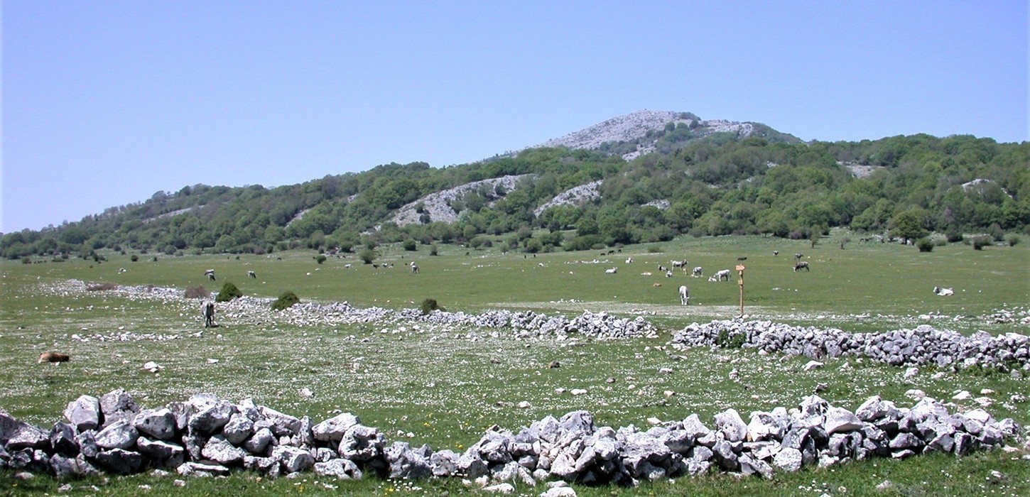 Parco dei Monti Lucretili: via libera dal Consiglio regionale del Lazio all’aggiornamento del ...